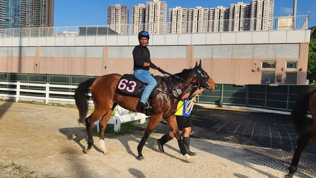 廖康铭欢迎新马加盟 | 星岛日报