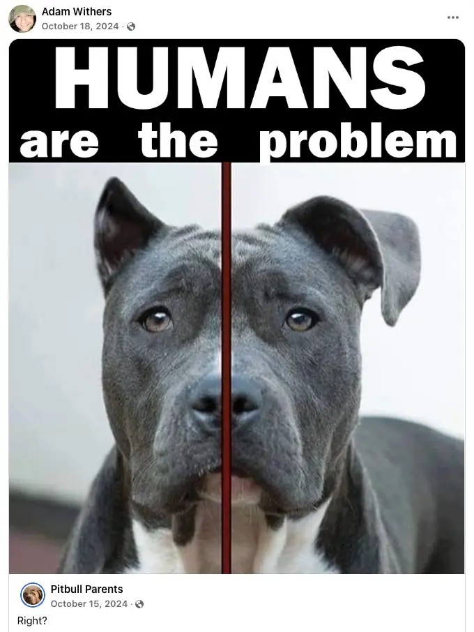 2比特犬吸食可卡因發狂咬死鄰居 飼主母子誤殺罪成 | 星島日報