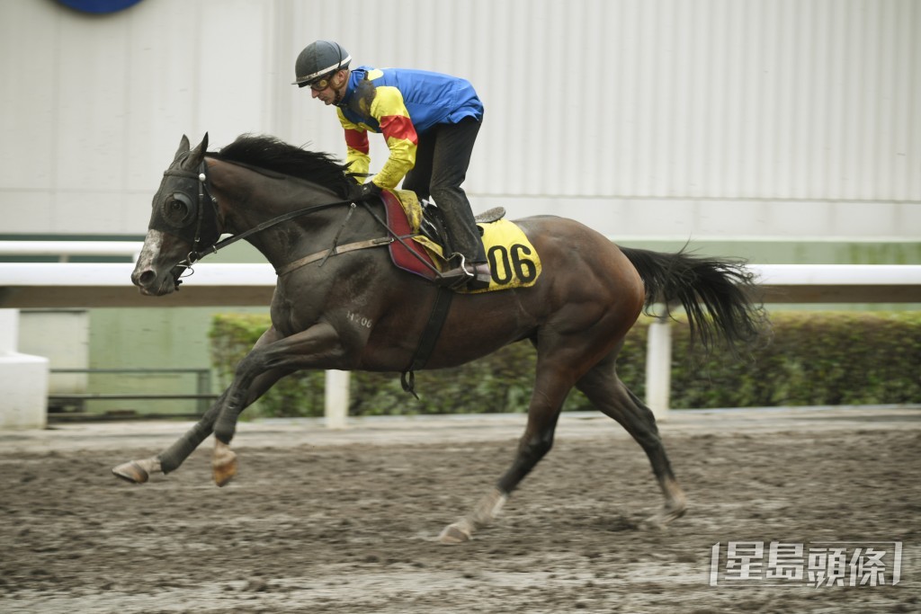 田泰安「小神仙」延續旺勢