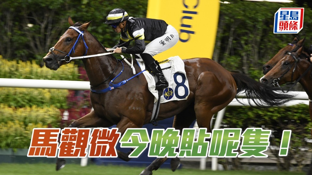 馬觀微今晚貼邊隻？