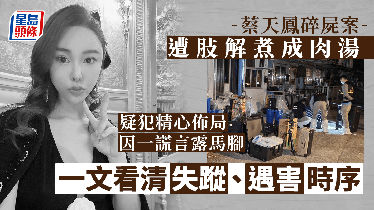 蔡天鳳碎屍案｜一文整合由失蹤到遇害時序 疑犯精心佈局卻破綻百出