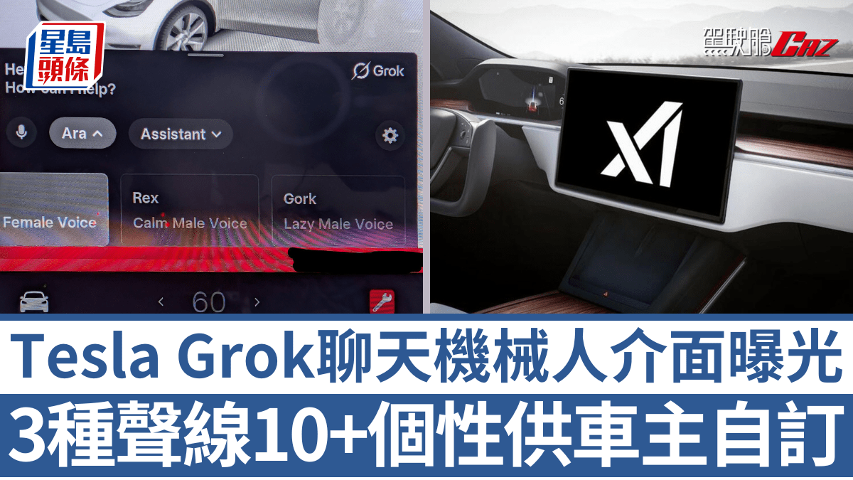 Tesla Grok介面曝光｜AI聊天機械人可選3種聲線及10+個性 僅支援AMD晶片車型？