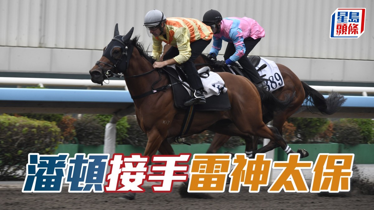 潘頓接手布文坐騎「雷神太保」