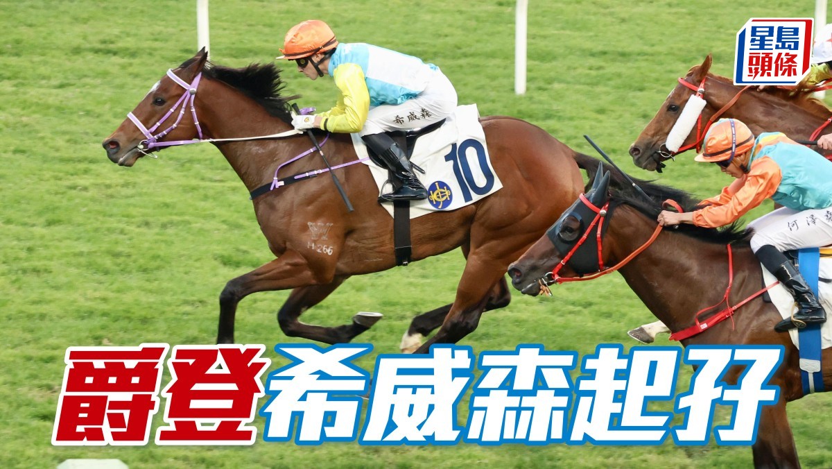 馬場密探048｜「爵登」希威森起孖