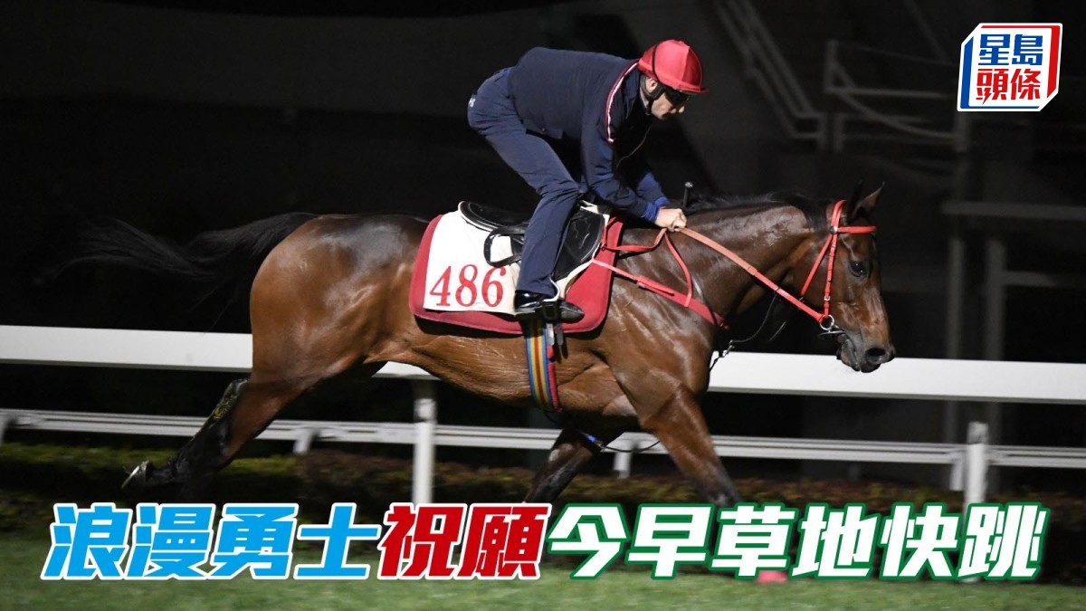 「浪漫勇士」「祝願」今早草地快跳