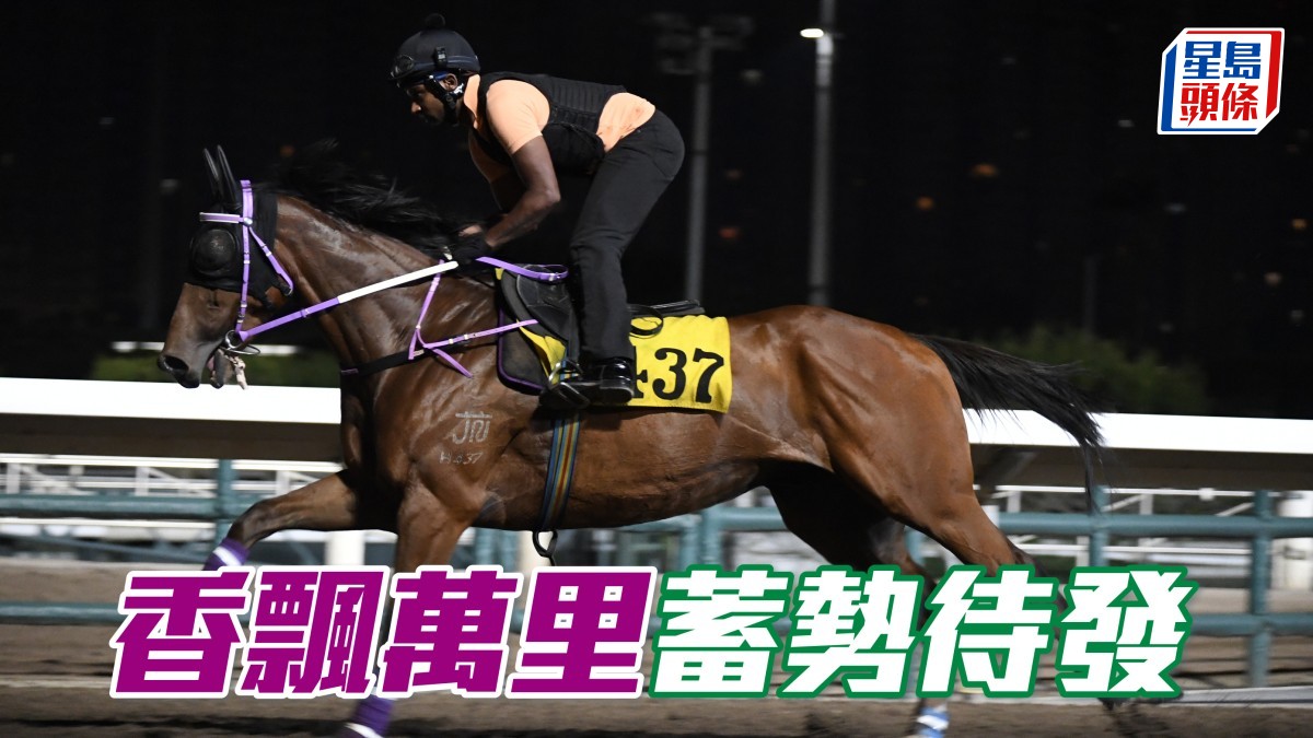 晨光追擊│ 「香飄萬里」蓄勢待發