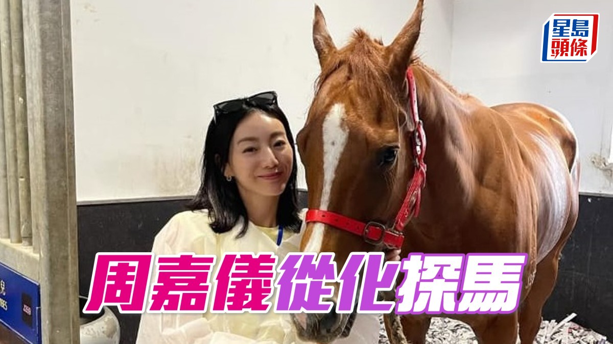 周嘉仪从化探马