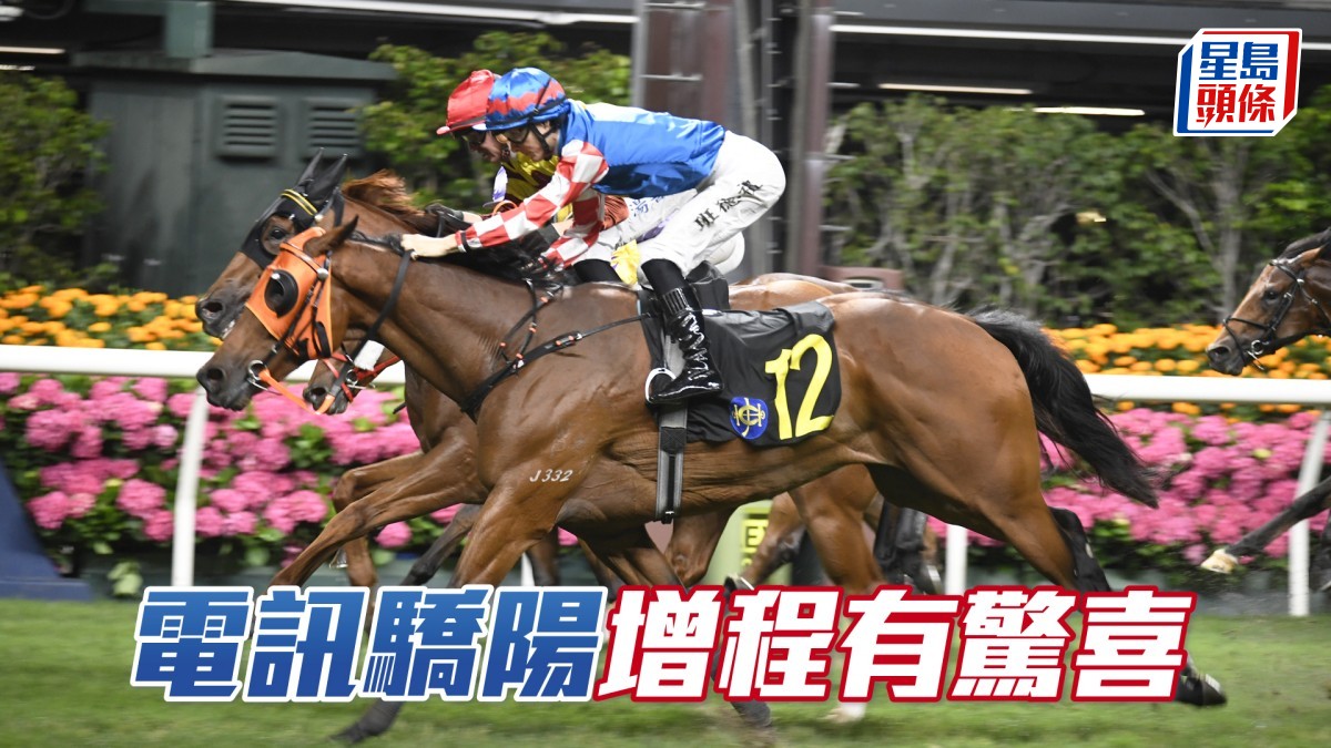 Dickson心水│「電訊驕陽」增程有驚喜