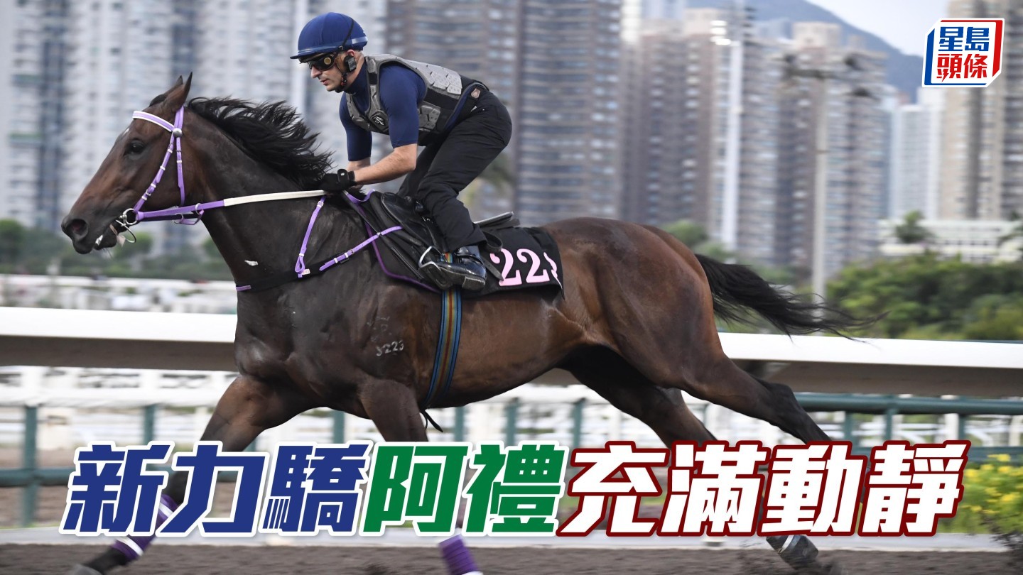 沙田早晨│「新力骄」阿礼充满动静