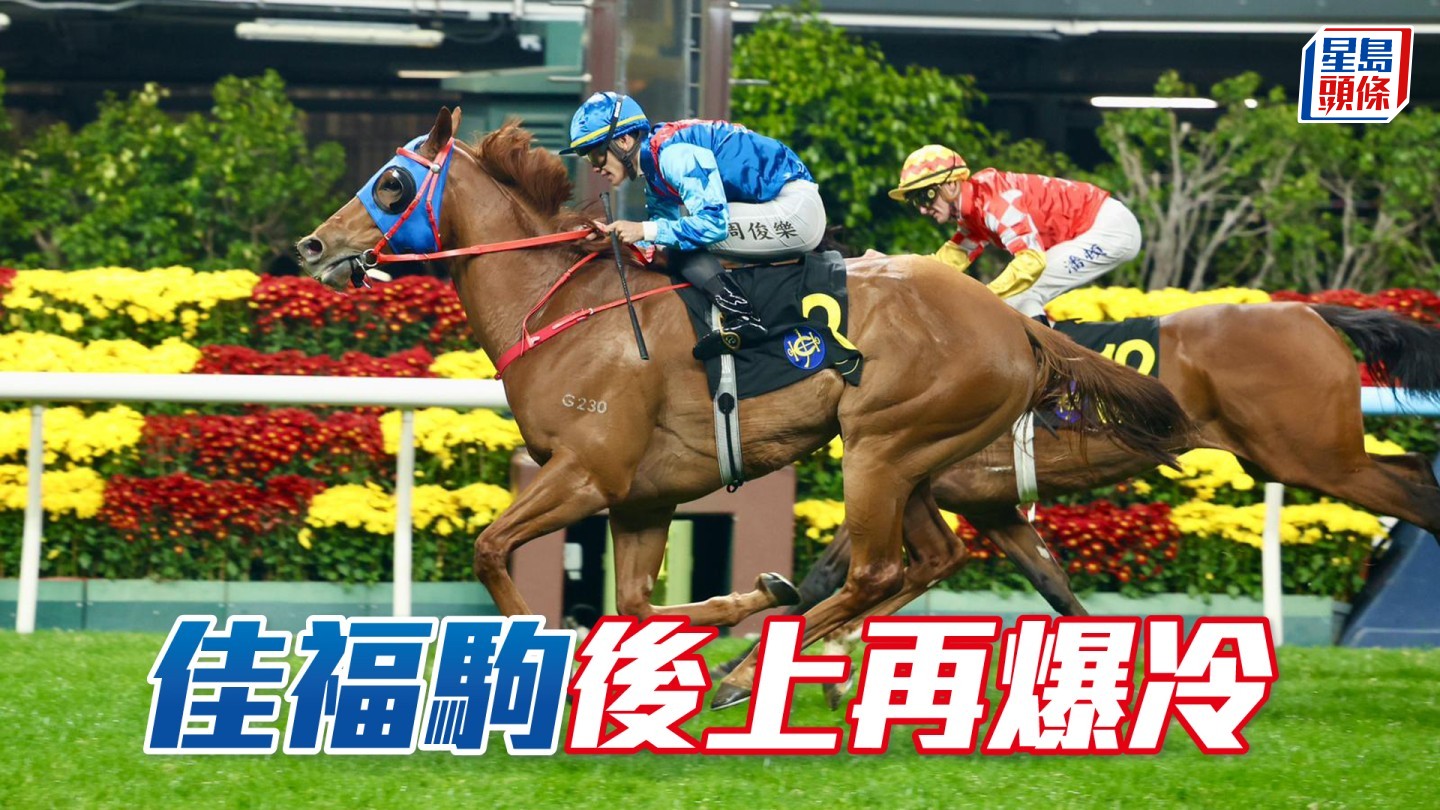 馬場密探048｜「佳福駒」後上再爆冷