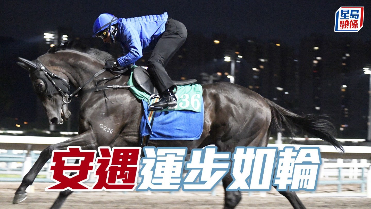 內圈捕影│「安遇」運步如輪