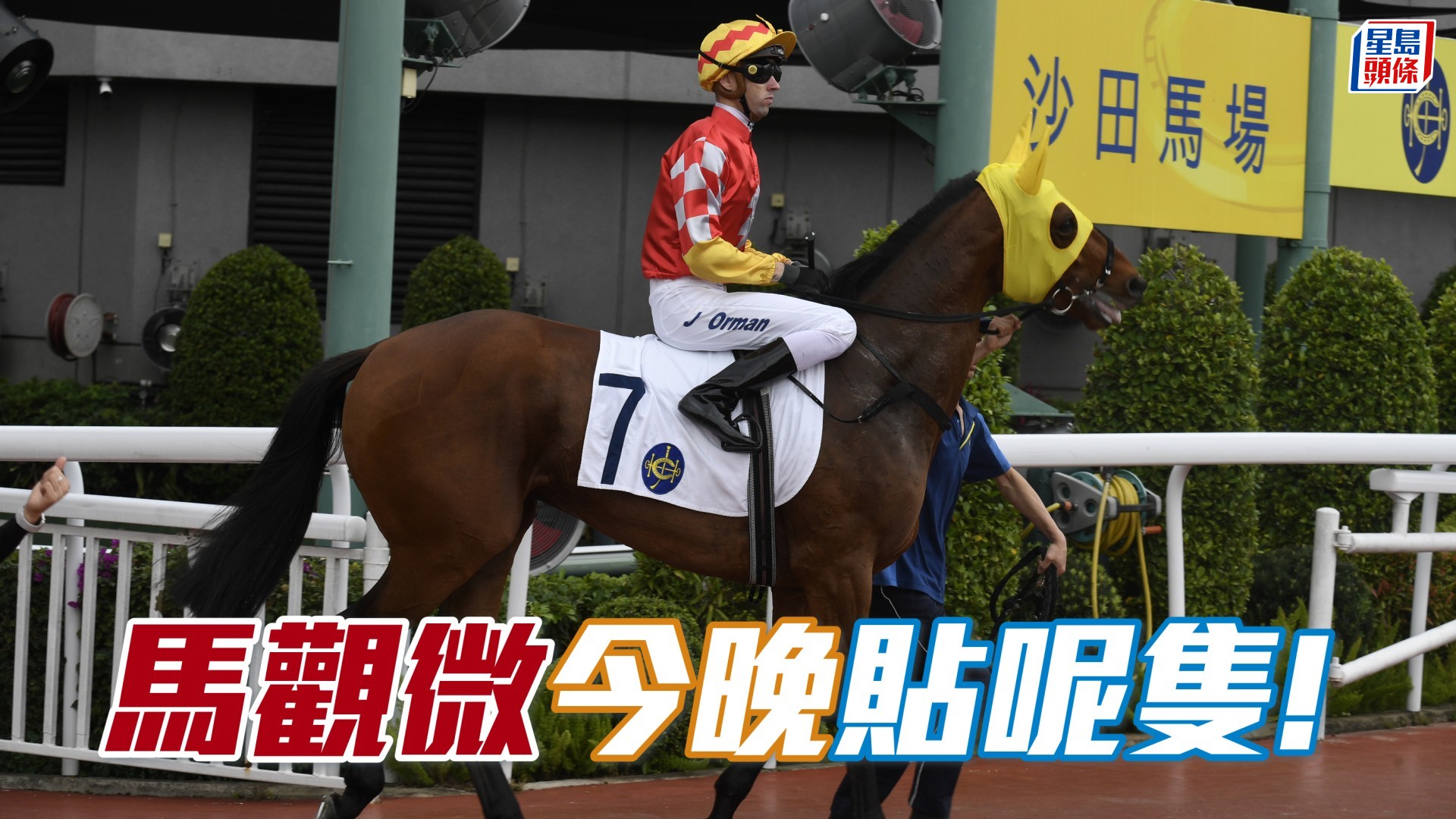 馬觀微全日心水│「祥勝將軍」達陣開齋